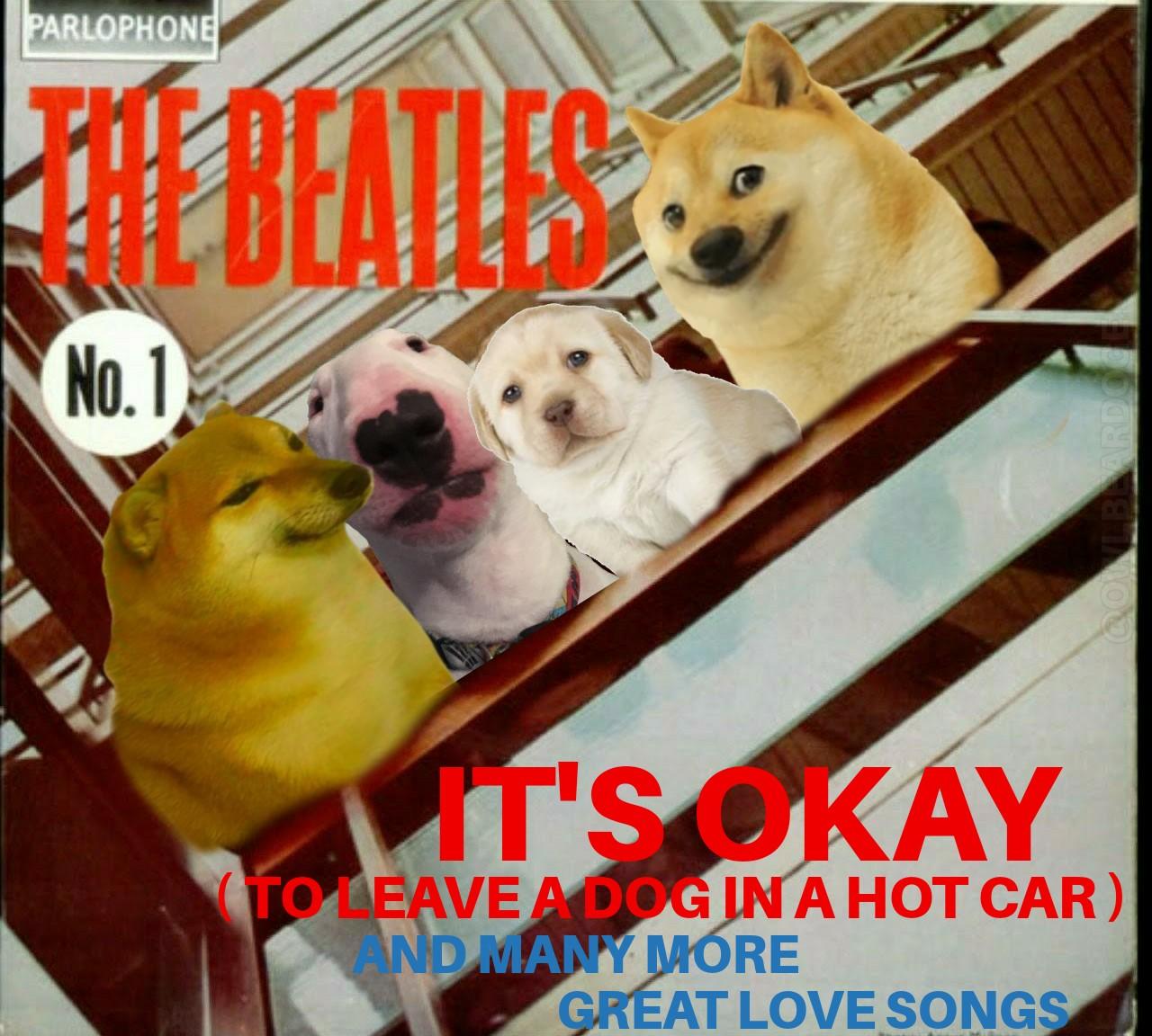 Le smash hit has arrived | /r/dogelore | Ironic Doge Memes | Know Your Meme