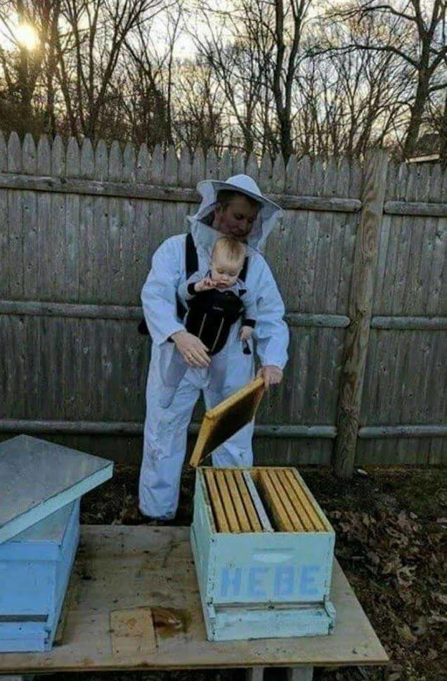 Blursed_Beekeeping | Blursed Images | Know Your Meme