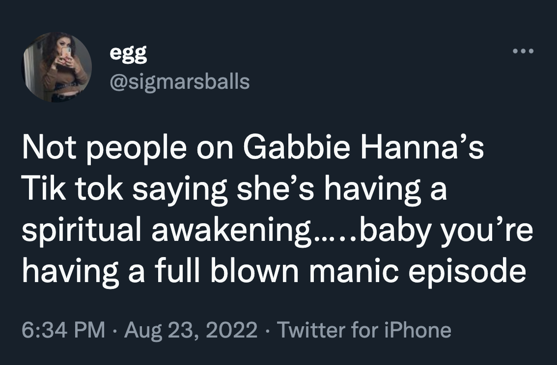 Gabbie Hanna Manic TikToks | Gabbie Hanna's Manic Episode | Know Your Meme