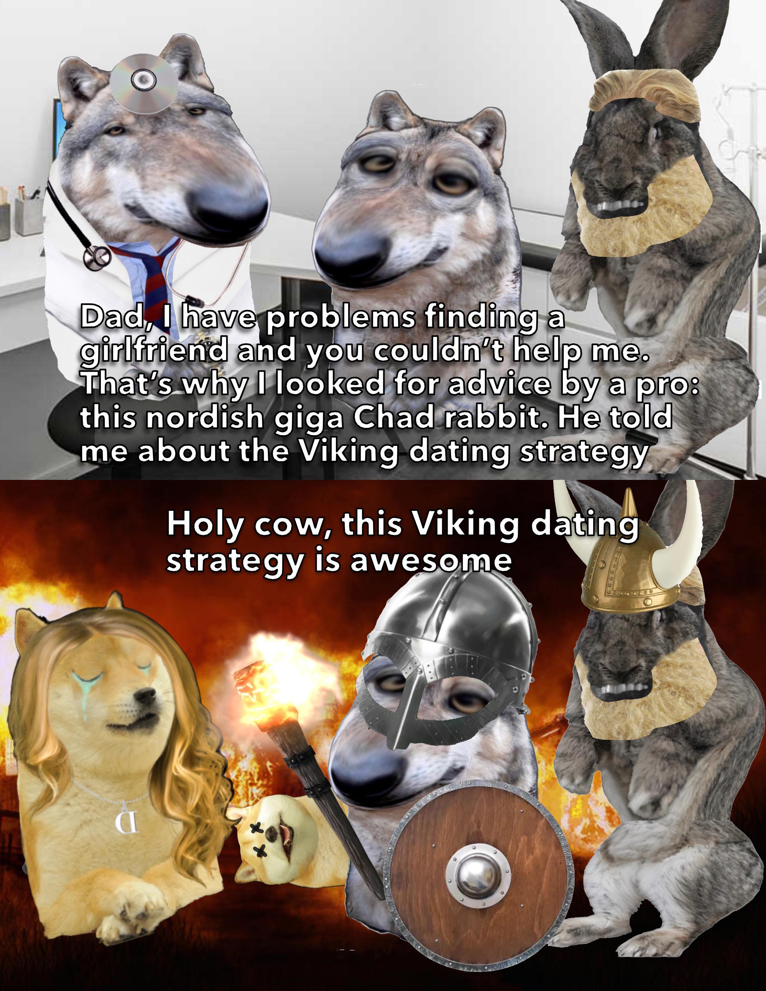 Le viking dating strategy has arrived | /r/dogelore | Ironic Doge Memes ...