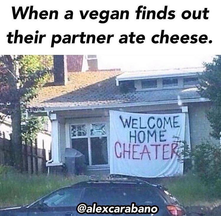 when a vegan finds out their partner ate cheese | Welcome Home Cheater ...