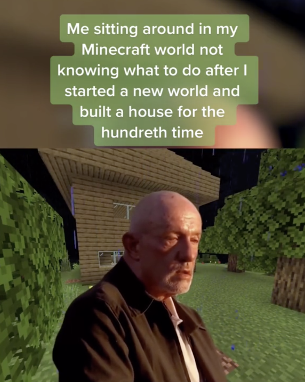 Breaking Bad Minecraft Memes | Breaking Bad Minecraft Memes | Know Your ...