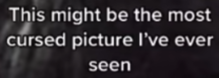 This might be the most cursed picture I've ever seen | Reaction Images ...