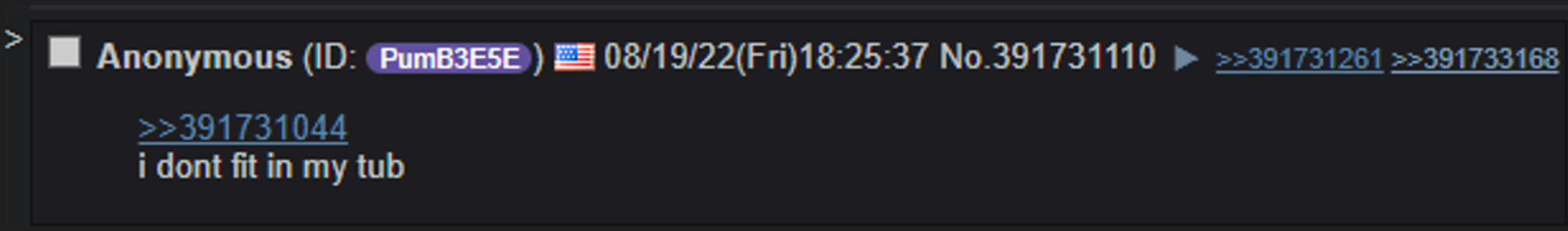 American anon on the struggles of the first world | /r/Greentext ...