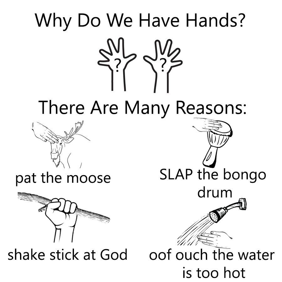 Why Do We Have Hands Welcome To My Meme Page Why Do We Have Hands