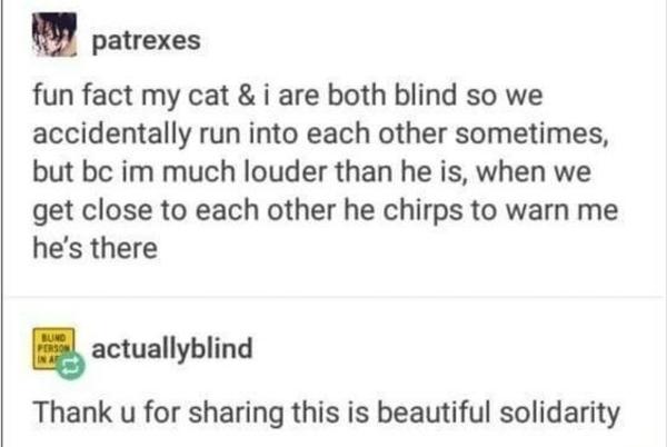such a beautiful solidarity | /r/wholesomememes | Wholesome Memes ...