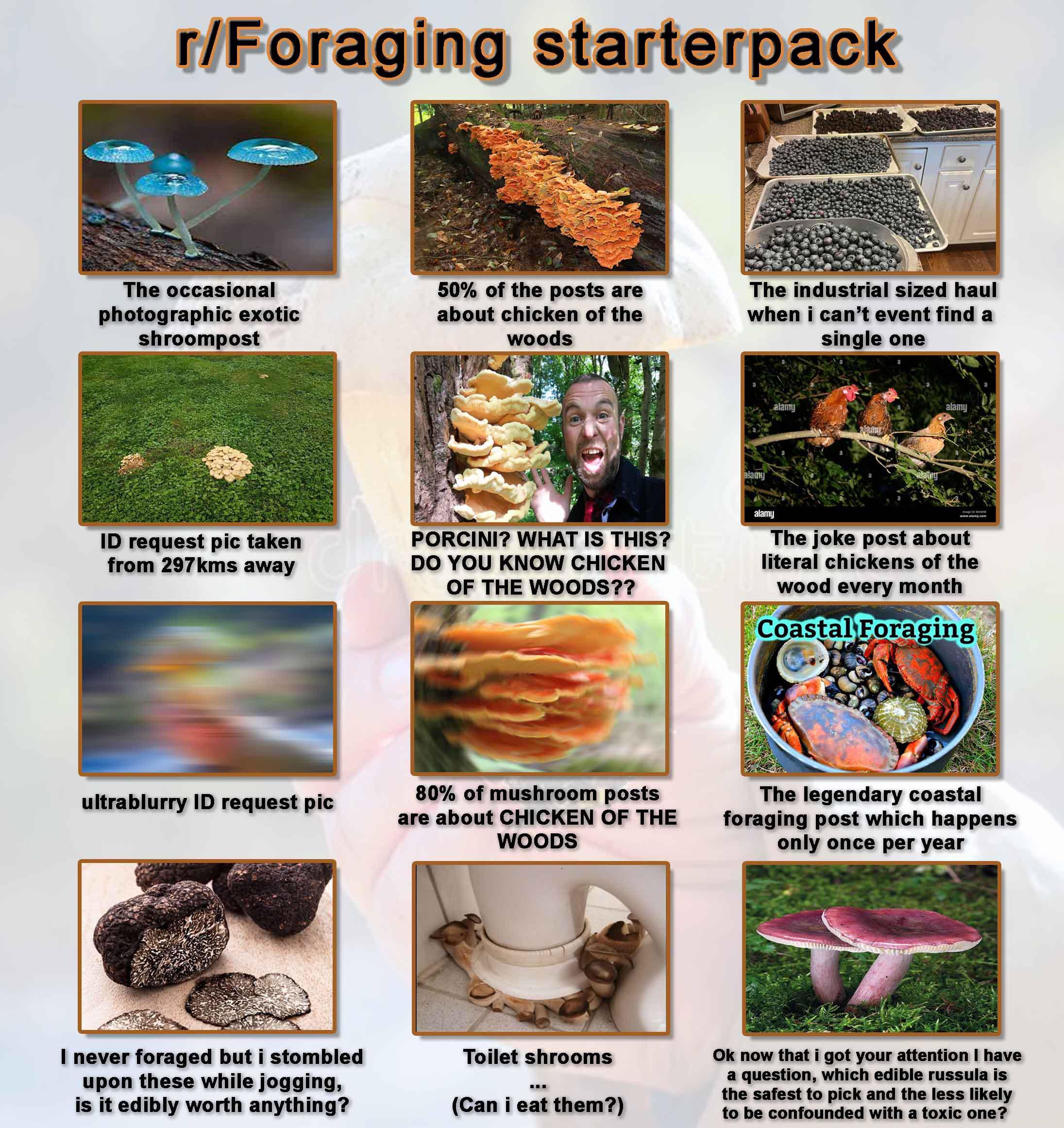 Foraging sub starterpack | /r/starterpacks | Starter Packs | Know Your Meme