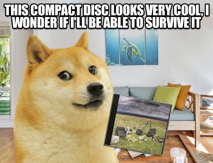 Le compact disc has arrived | /r/dogelore | Ironic Doge Memes | Know ...