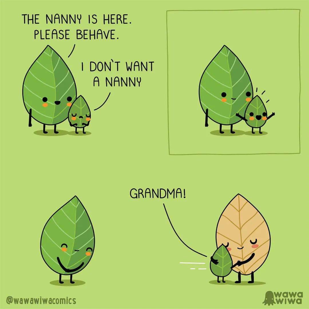Grandmas make the best nannies | /r/wholesomememes | Wholesome Memes ...