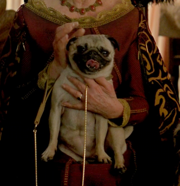 Behold, Ser Pugsly Redwyne of the Arbor | /r/FreeFolk | /r/freefolk ...