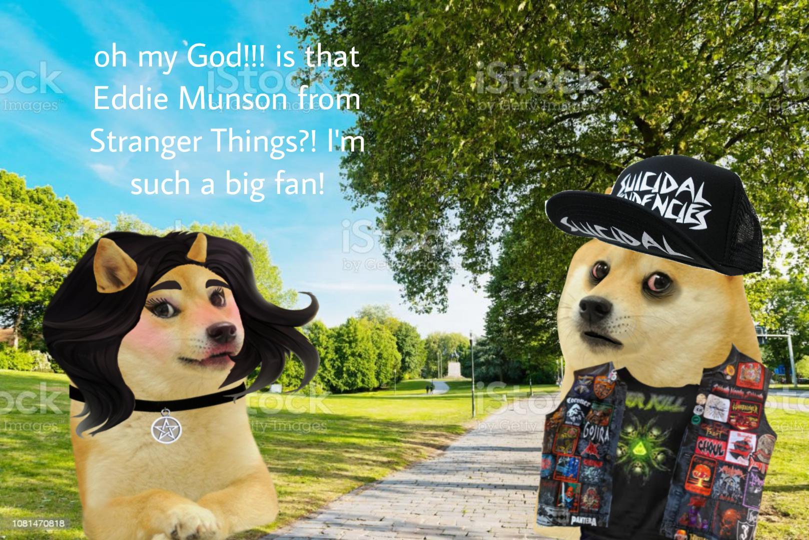 a day in the life of a thrash metalhead | /r/dogelore | Ironic Doge ...