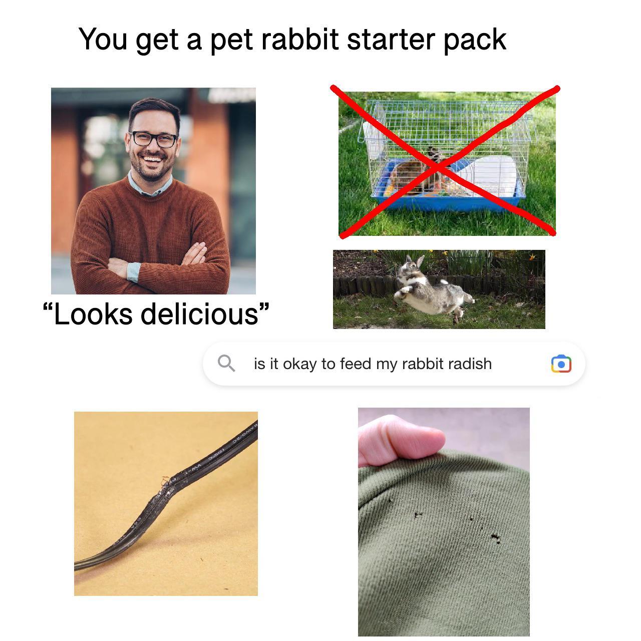 Your new pet rabbit starter pack | /r/starterpacks | Starter Packs ...