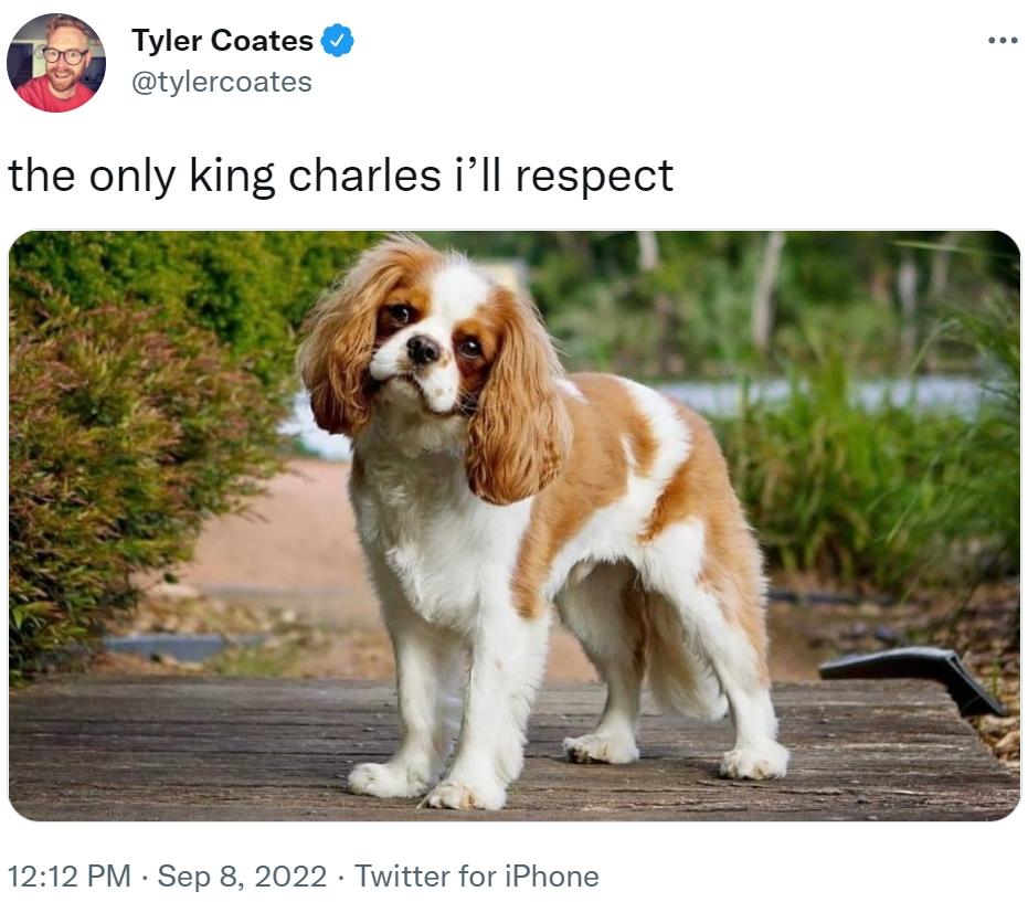 the only king charles i’ll respect | King Charles III | Know Your Meme