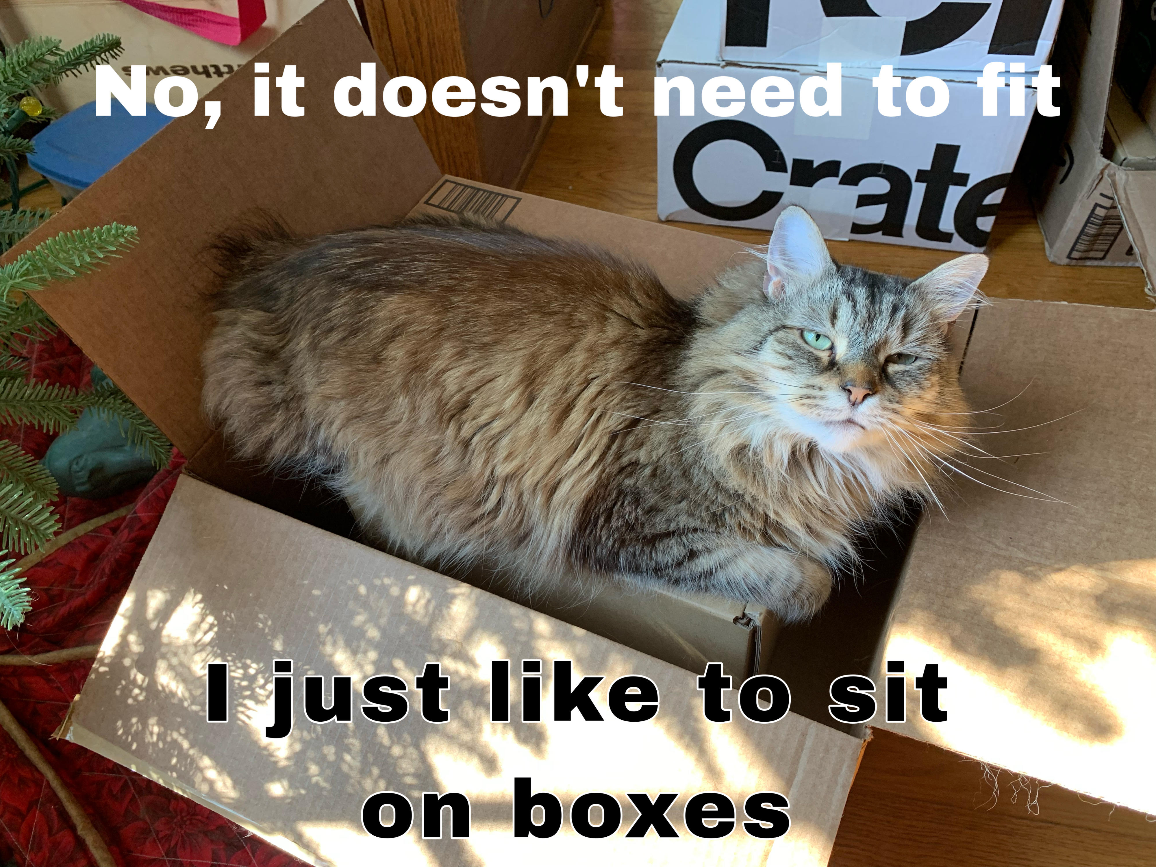 No, it doesn't need to fit. I just like to sit on boxes. | If It Fits I ...