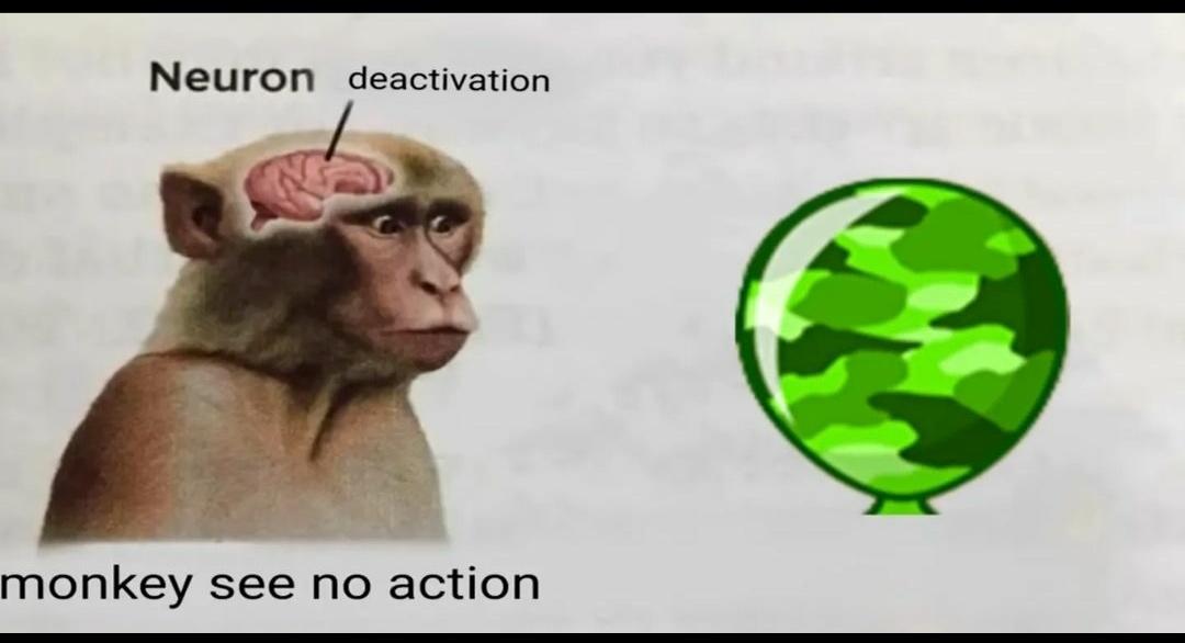 Monkey brain | Know Your Meme