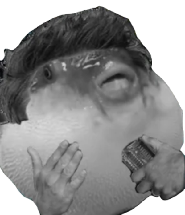Stufferfish | I'm Stuff | Know Your Meme