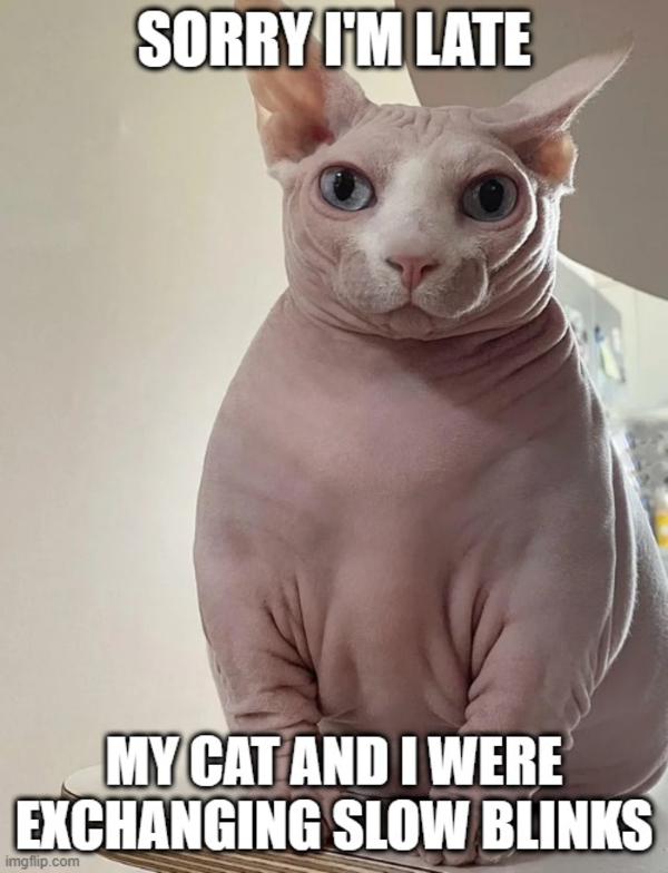 Enjoying the small joys of life | /r/wholesomememes | Wholesome Memes ...