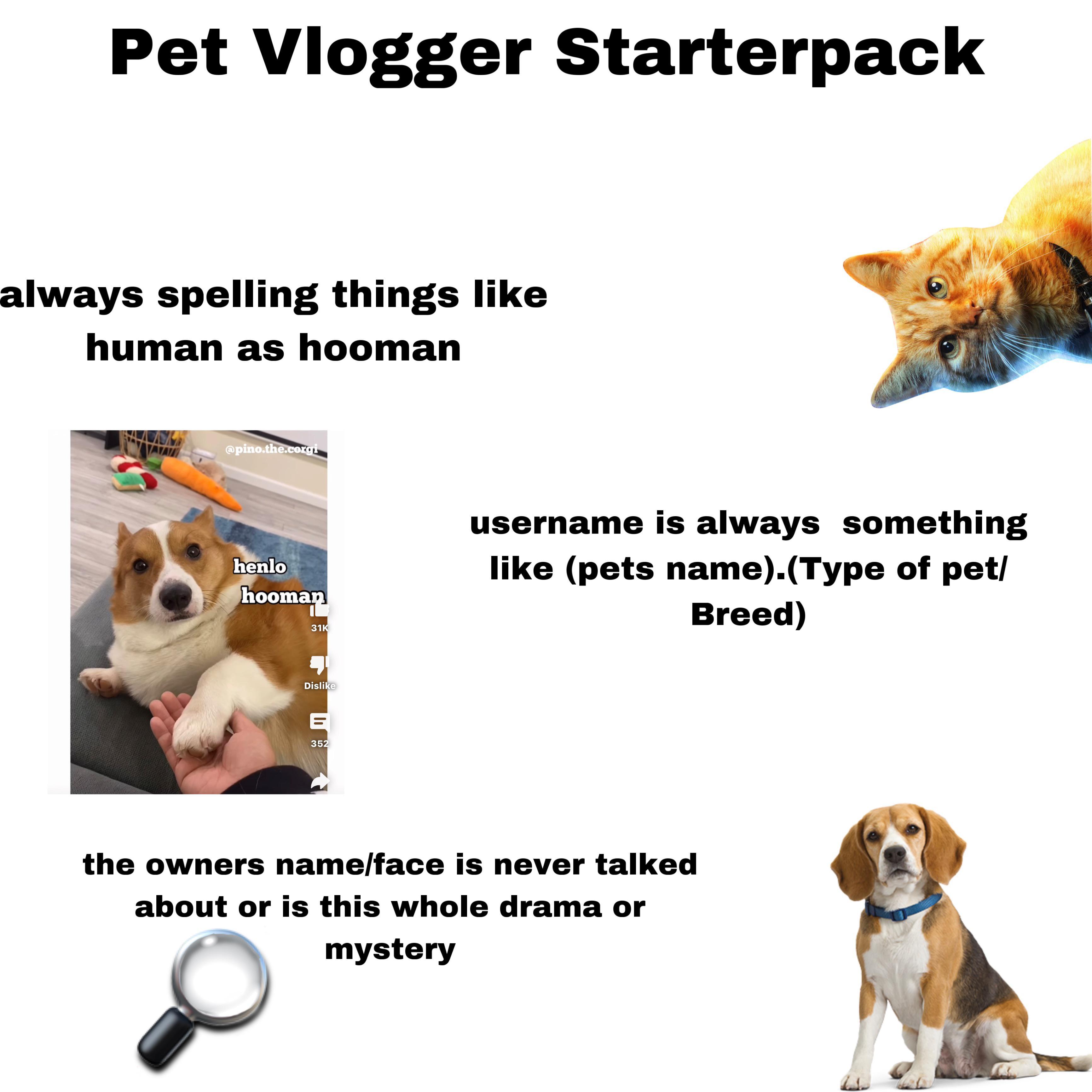 Pet Vloggers Starterpack | /r/starterpacks | Starter Packs | Know Your Meme