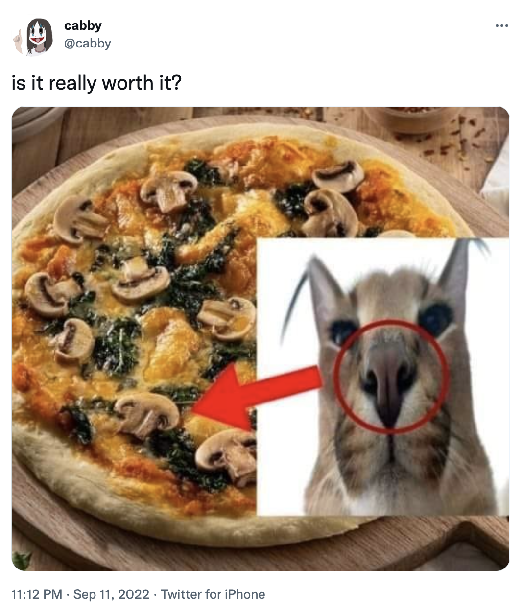Is It Really Worth It Meme Is It Really Worth It Know Your Meme