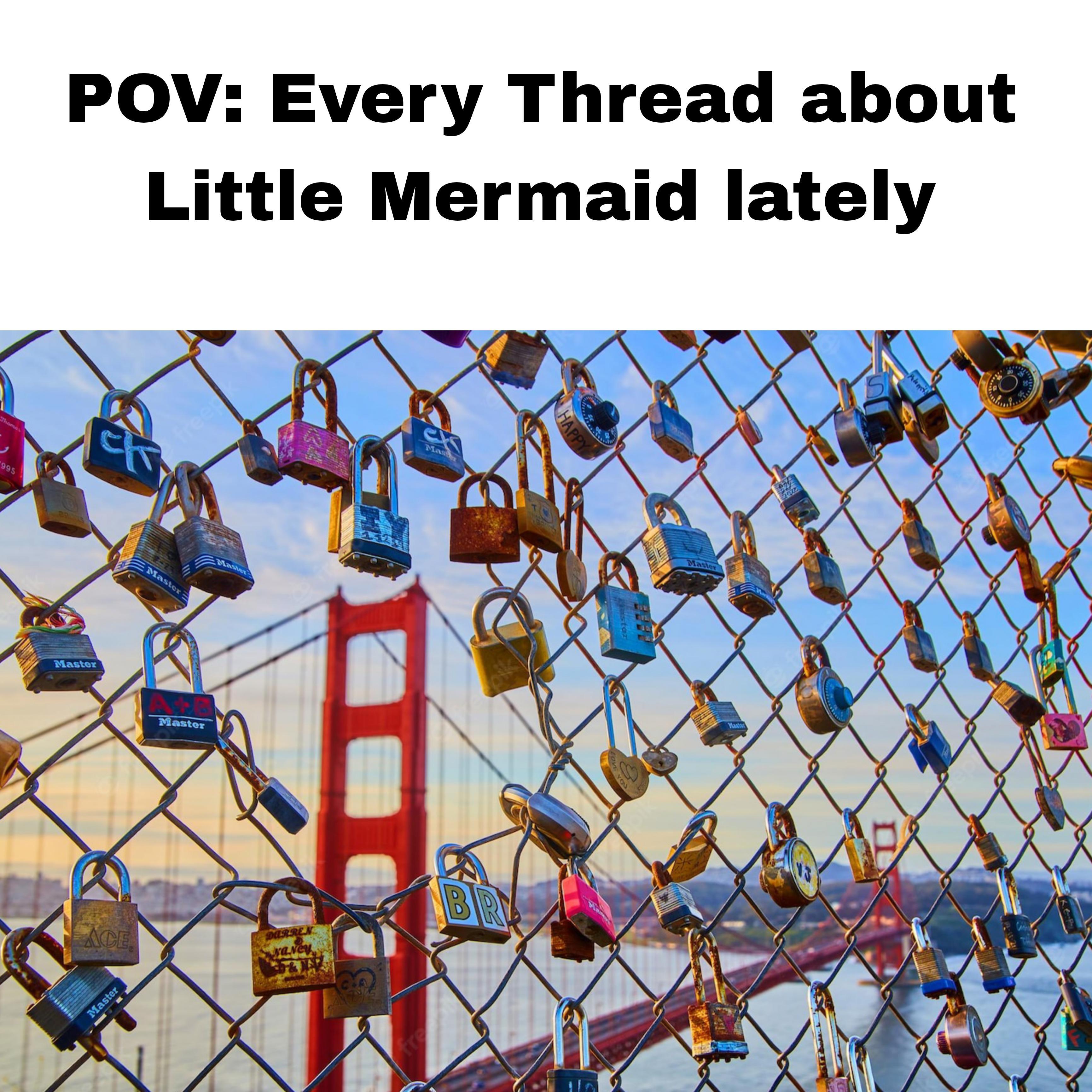 Locks Locks everywhere | /r/dankmemes | Know Your Meme