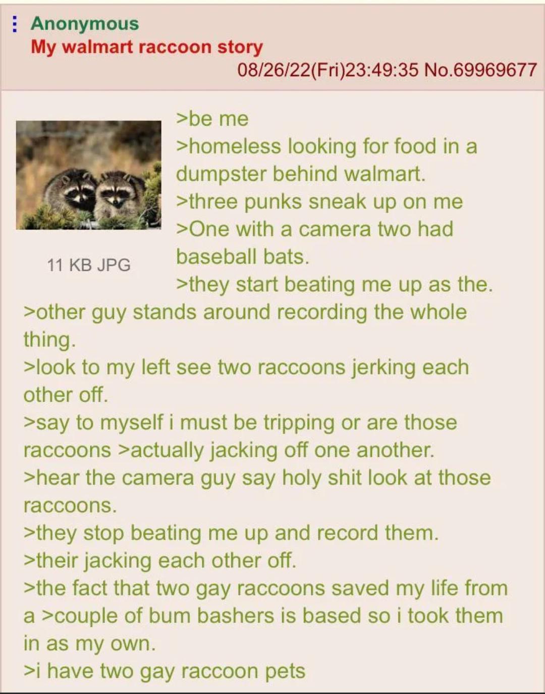 Anon encounters homosexual raccoons | /r/Greentext | Greentext Stories | Know Your Meme