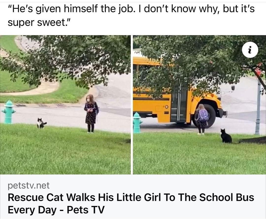 Little Girl Meme In The Car at Gustavo Gomez blog