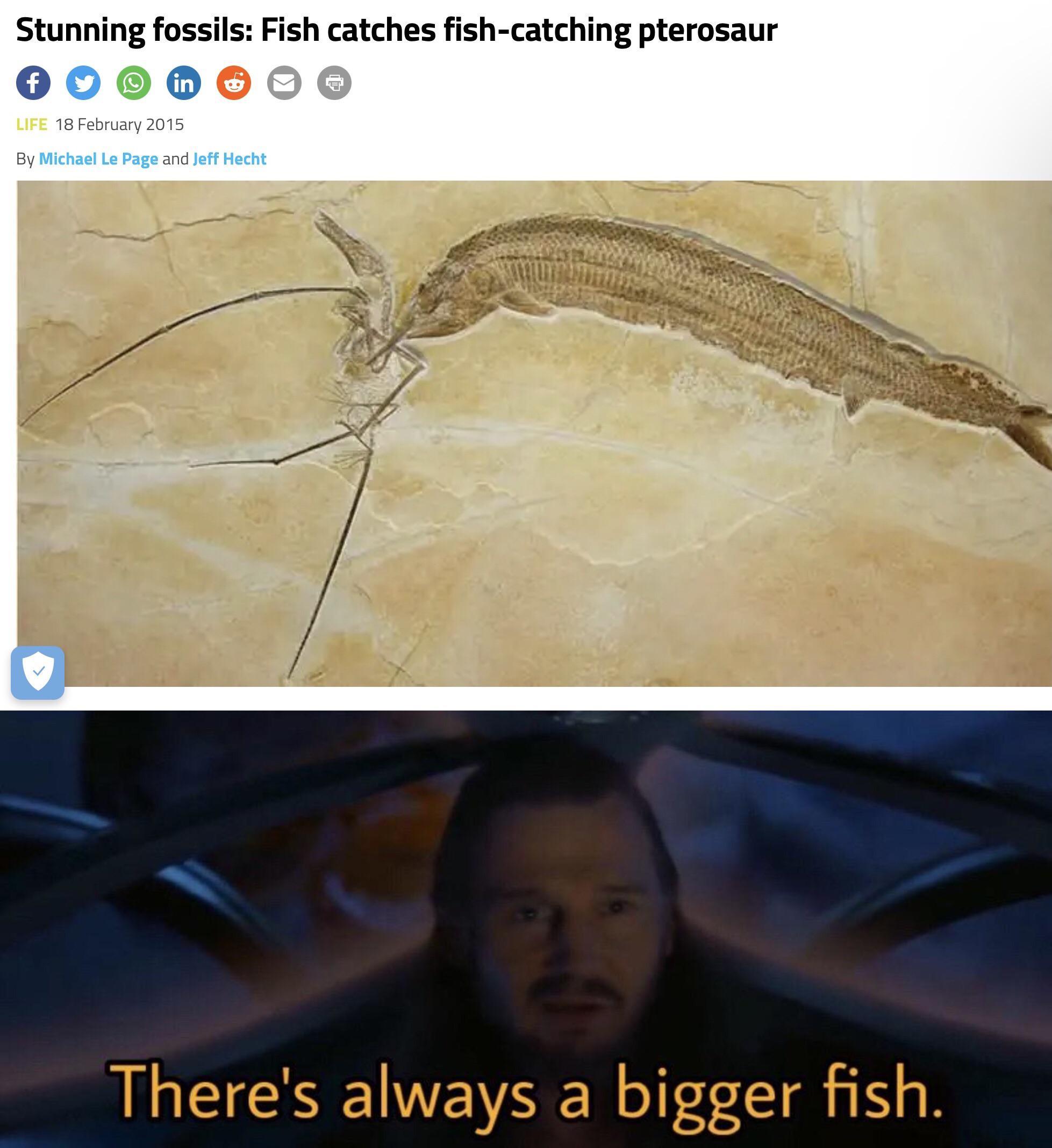 Titles are hard | /r/PrequelMemes | Prequel Memes | Know Your Meme