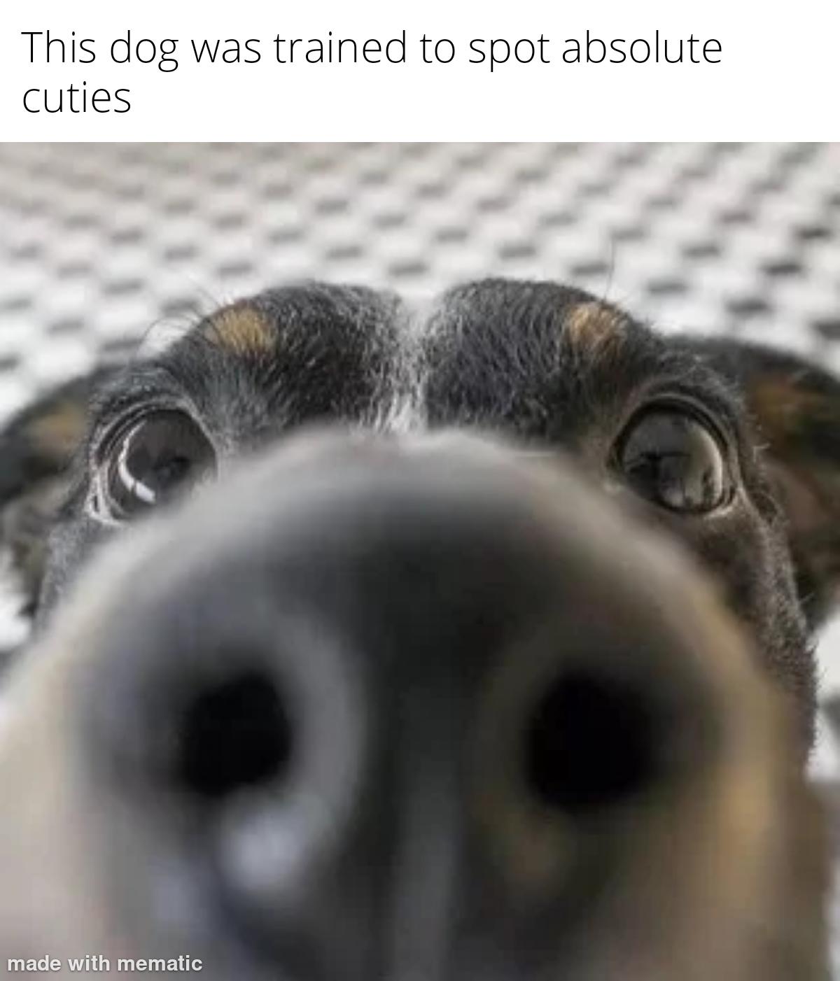 Looking fine today | /r/wholesomememes | Wholesome Memes | Know Your Meme