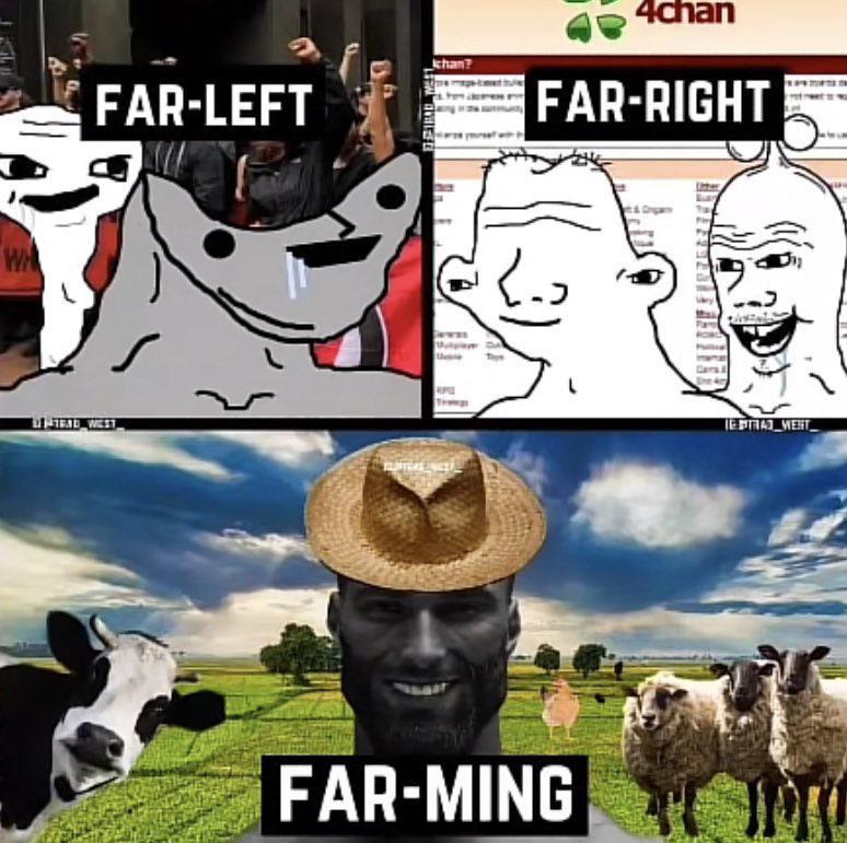 Oh yeah, I’m an extremist alright. | /r/PoliticalCompassMemes ...