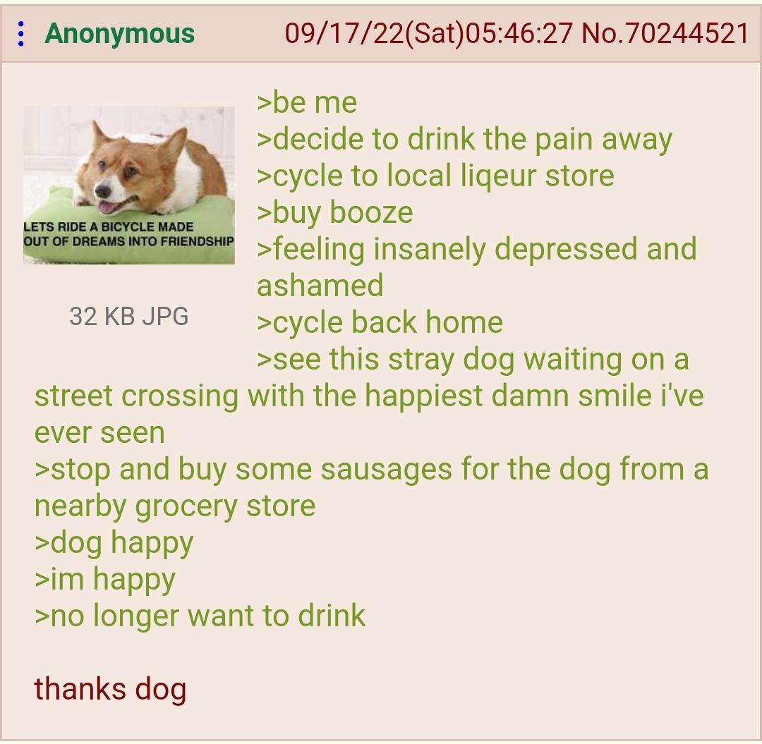 Dog has its day | /r/Greentext | Greentext Stories | Know Your Meme