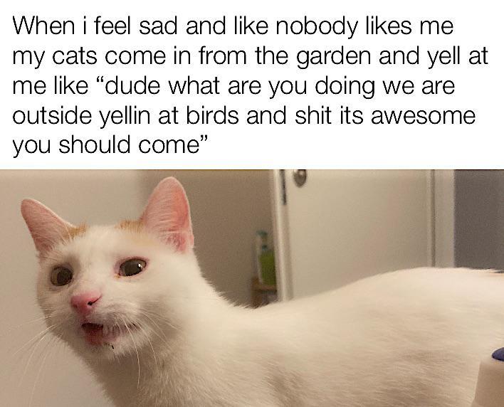 I love my little diarrhea devils | /r/wholesomememes | Wholesome Memes ...