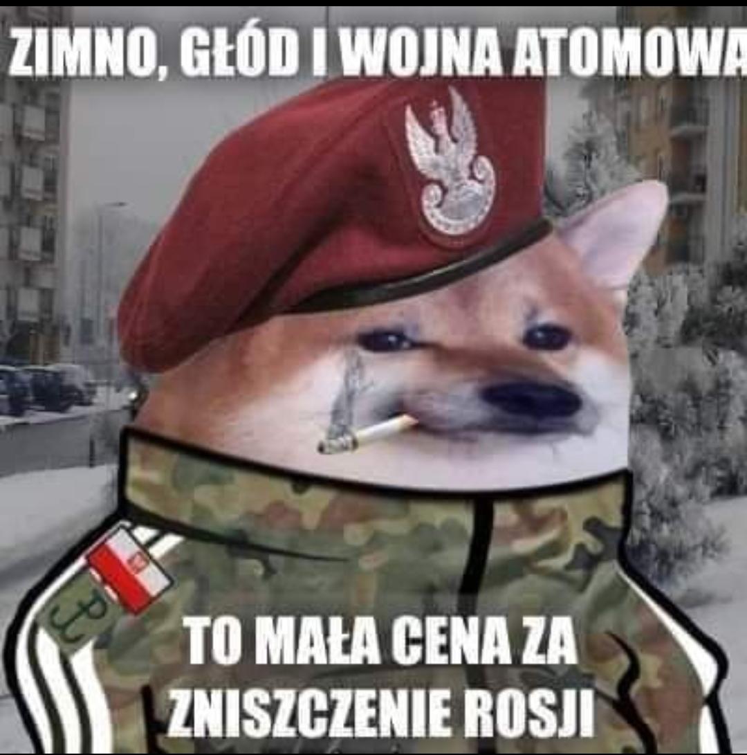 whatever it takes fellas | /r/dogelore | Ironic Doge Memes | Know Your Meme