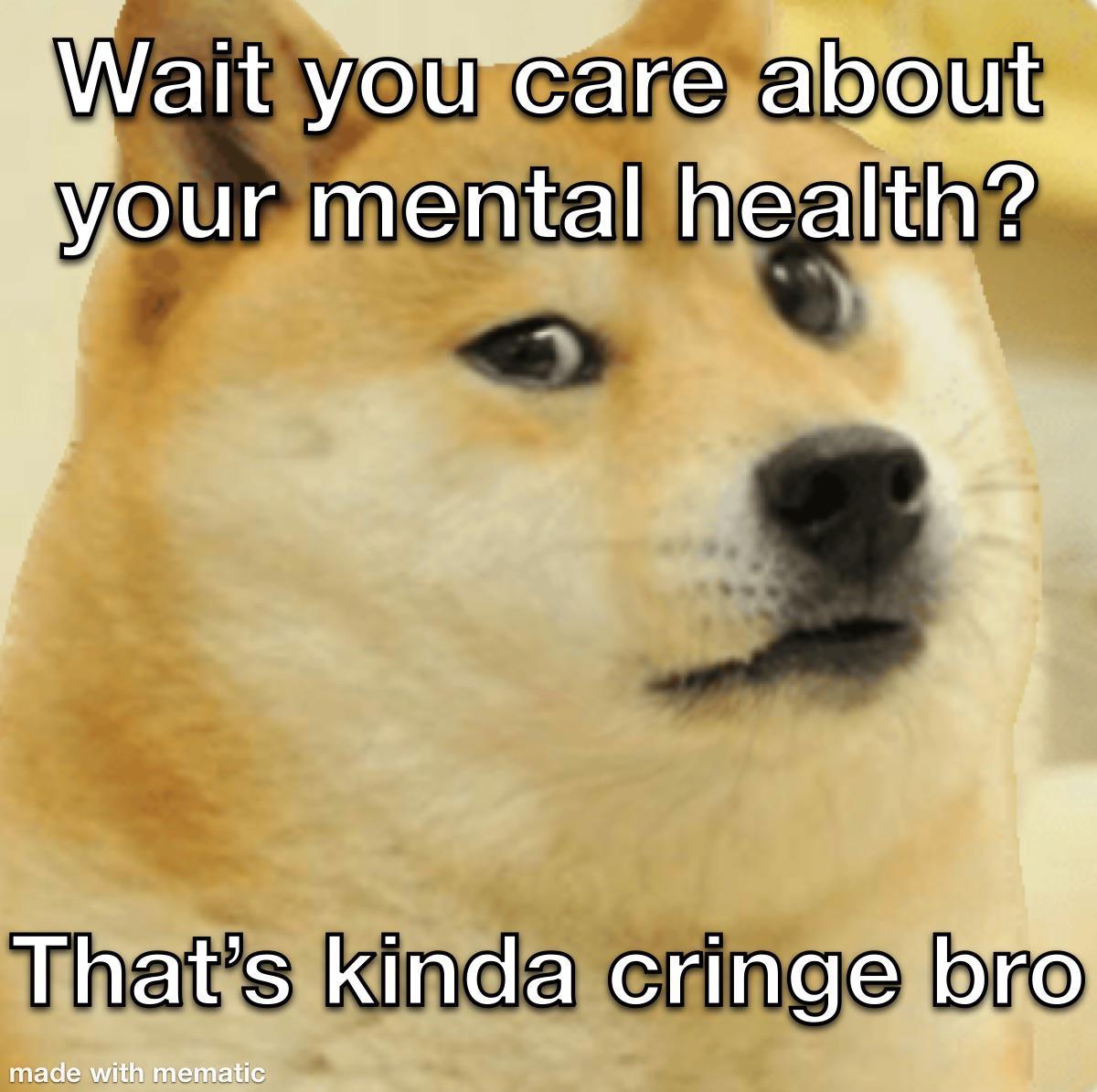 Le gamer has arrived | /r/dogelore | Ironic Doge Memes | Know Your Meme
