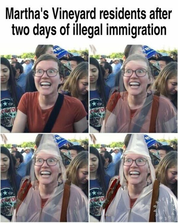 Martha's Vineyard Migrant Memes | Martha's Vineyard Migrant Drop-Off ...