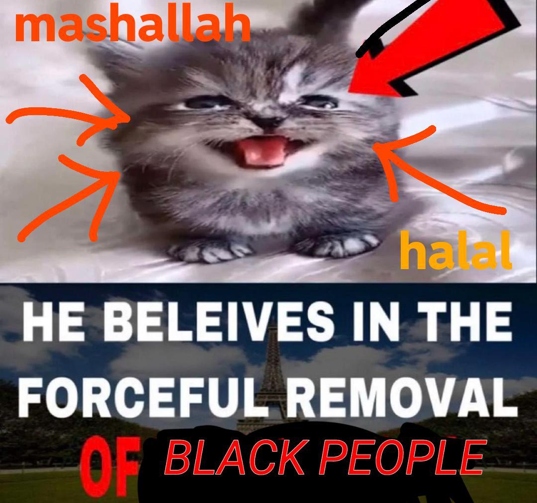 mashallah | /r/okbuddyretard | OkBuddyRetard | Know Your Meme