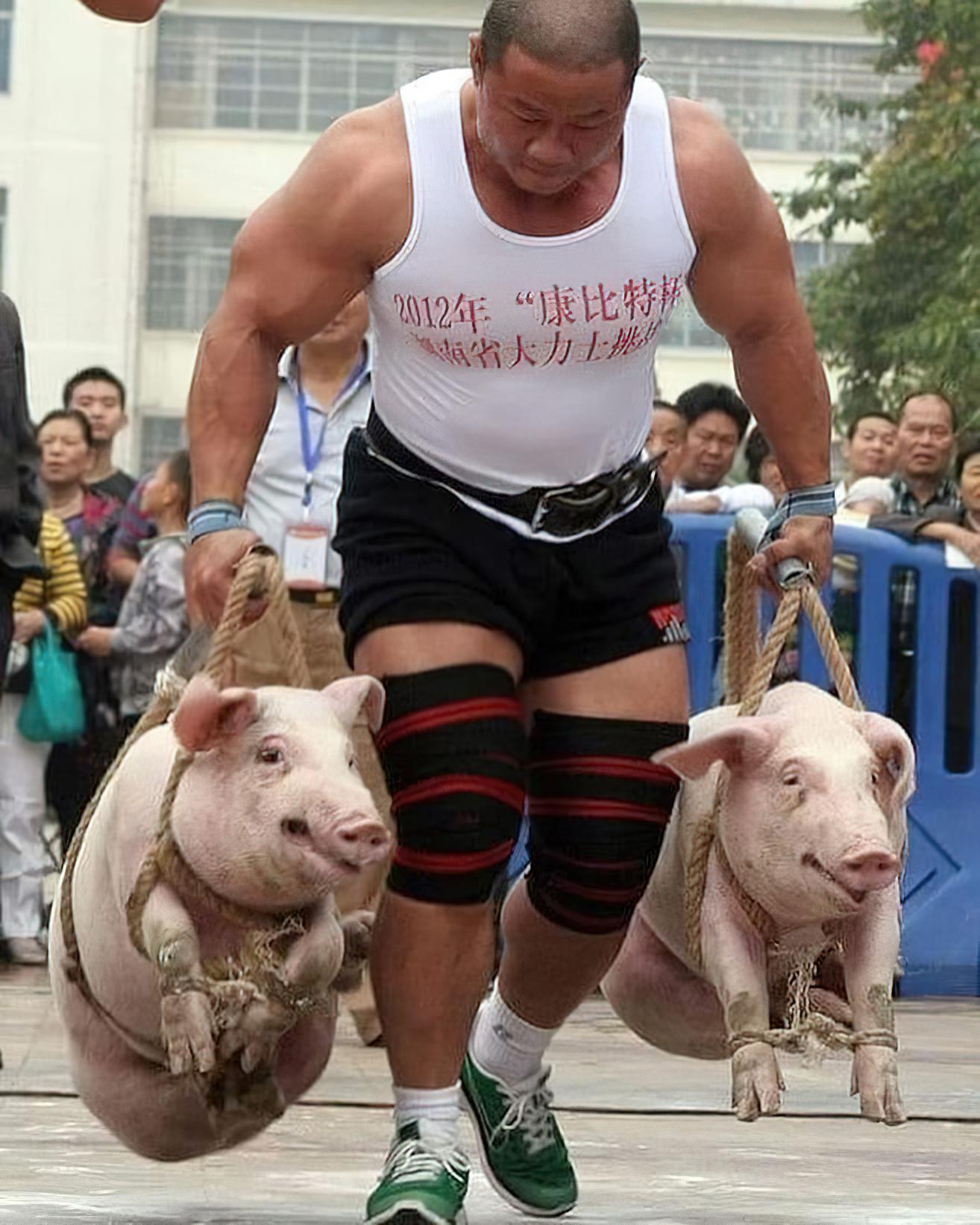 GUY CARRYING PIGS is set to explode. Invest now!! | /r/MemeEconomy ...