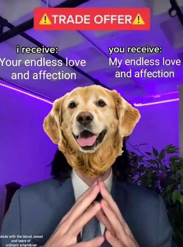 Seems legit | /r/wholesomememes | Wholesome Memes | Know Your Meme