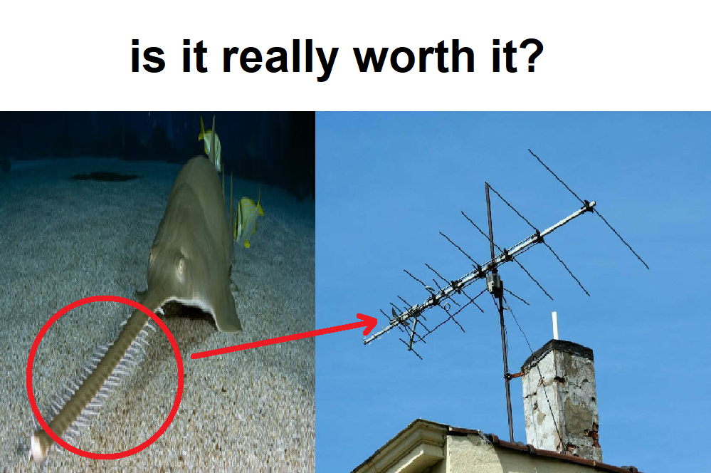 saw fis | /r/okbuddyretard | OkBuddyRetard | Know Your Meme