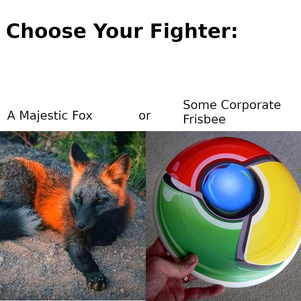 I don't wanna play fetch no more | /r/dankmemes | Mozilla Firefox ...