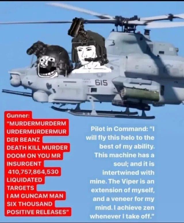 Difference between Pilots and Gunners | BORN TO DIE / WORLD IS A FUCK ...