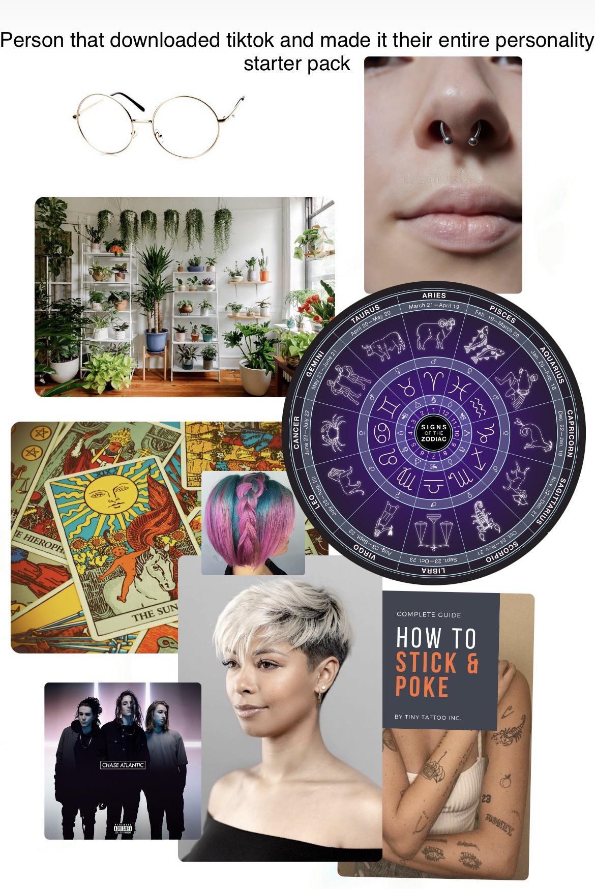 Person that downloads tiktok and makes it their entire personality ...