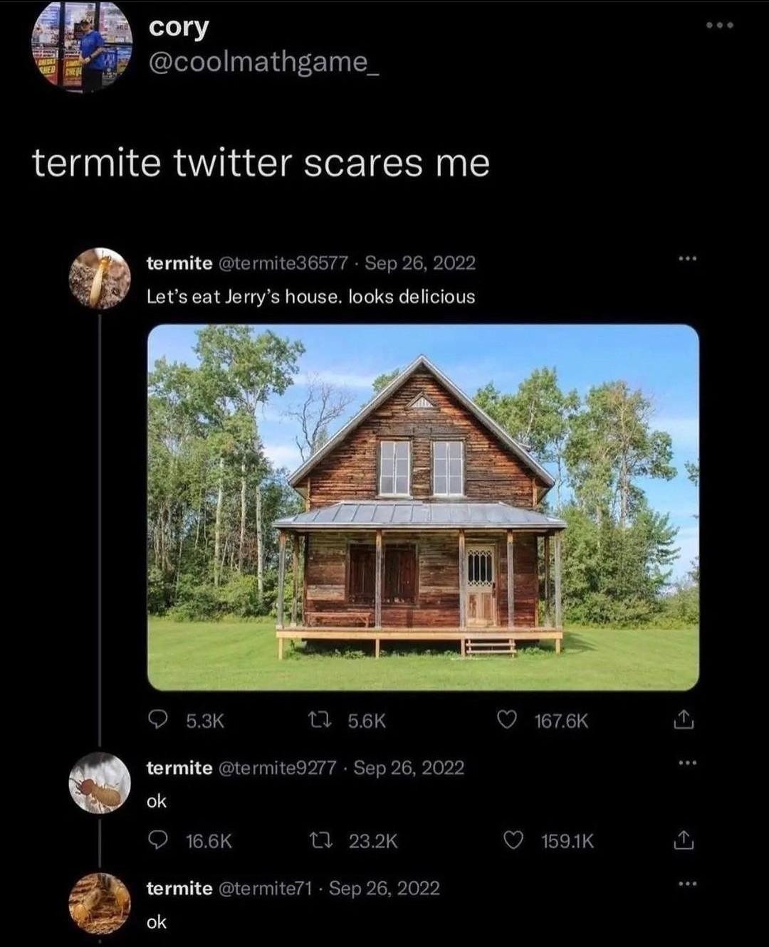 Termite Twitter is very unexpected yet amusing ! | /r/wholesomememes ...