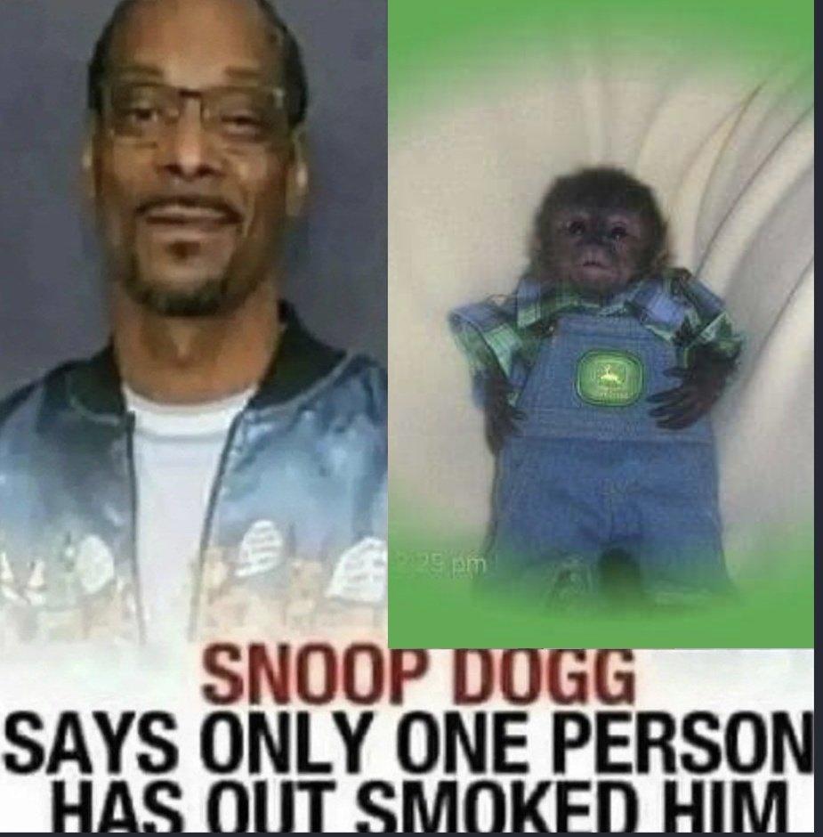 Small Monkey John Deere Snoop Dogg Meme | Small Monkey In John Deere ...