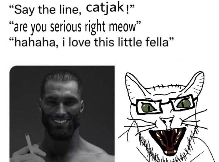 Say the Line, Catjak | Say the Line, Wojak | Know Your Meme