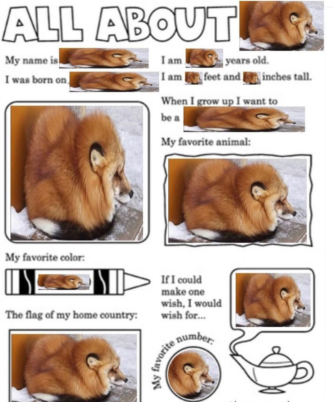 all abot me | /r/okbuddyretard | OkBuddyRetard | Know Your Meme