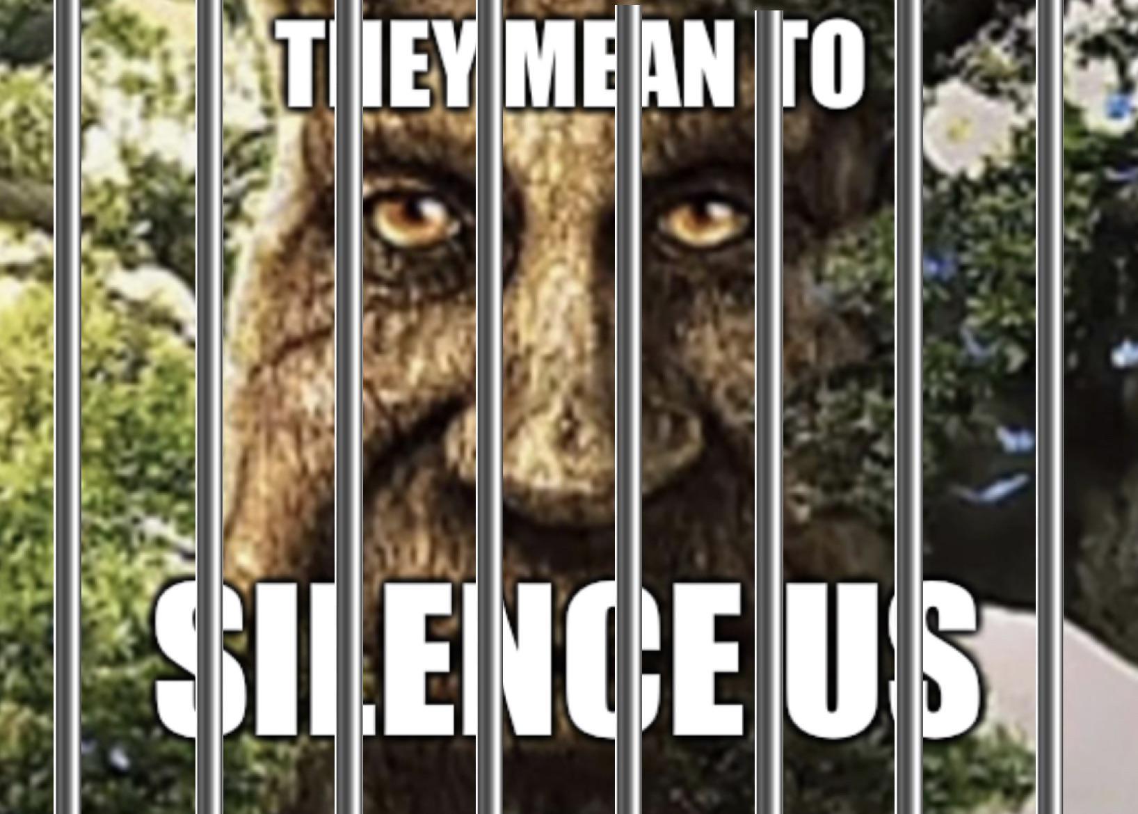 Can you guys hear the scratching, too?? | /r/okbuddyretard ...