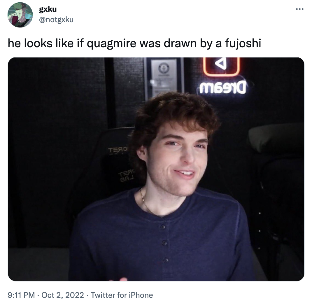 Dream Face Reveal Memes | Dream Face Reveal | Know Your Meme