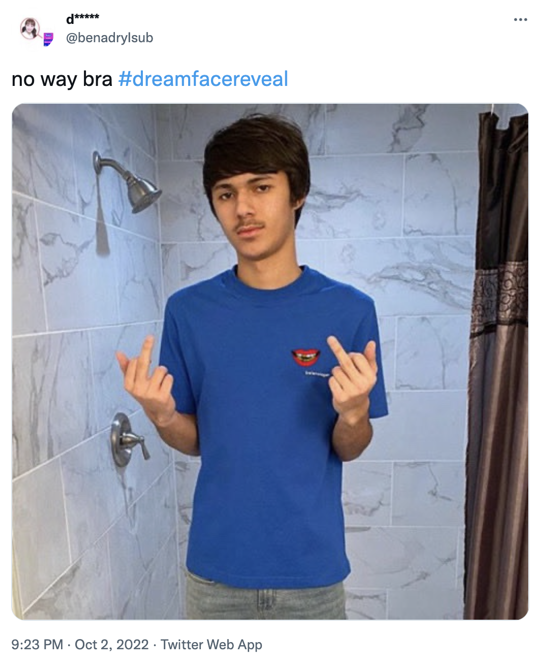 Dream Face Reveal Memes | Dream Face Reveal | Know Your Meme