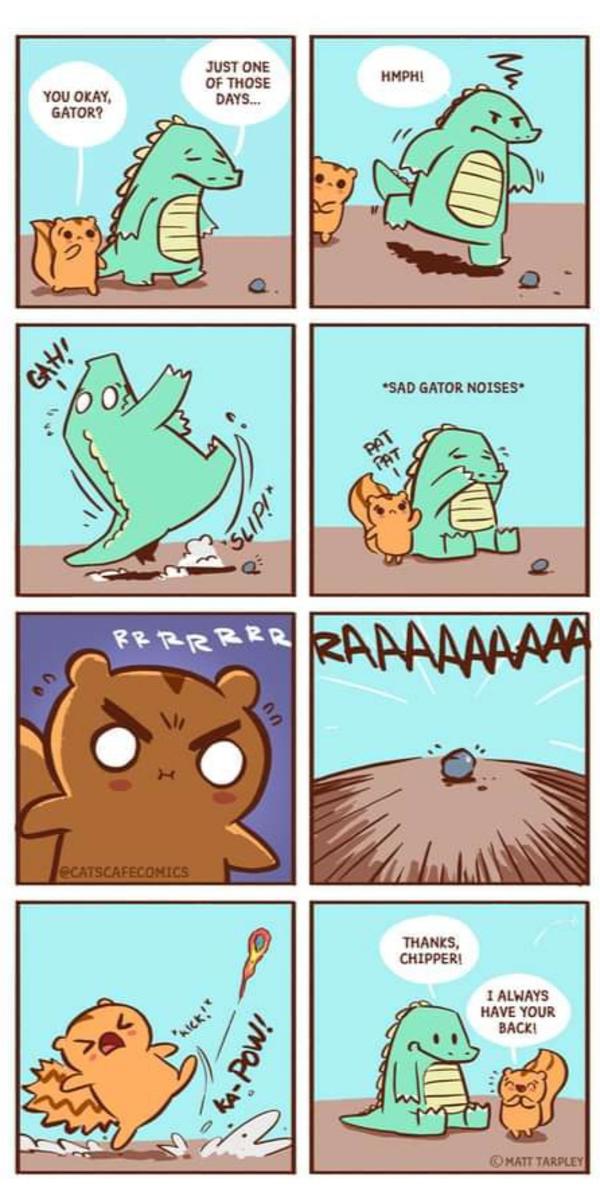 A friend who always have your back | /r/wholesomememes | Wholesome ...