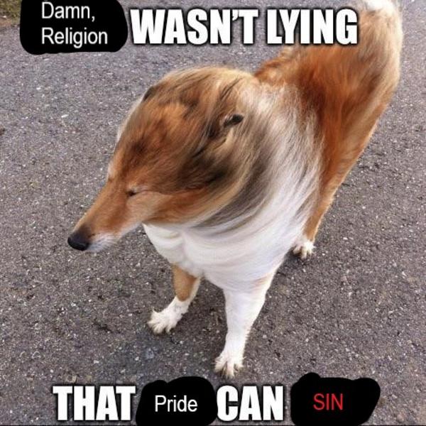 pride | She Wasn't Lying, That Ass Can Fart | Know Your Meme